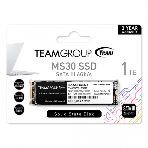 Teamgroup 1TB SSD MS30 M.2 2280 SATA3 - TM8PS7001T0C101 - AltStore